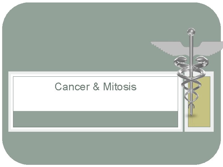 Cancer Mitosis Objectives Outline the cell cycle Growth
