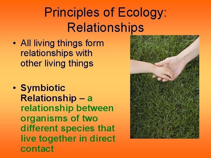 Principles of Ecology Relationships All living things form