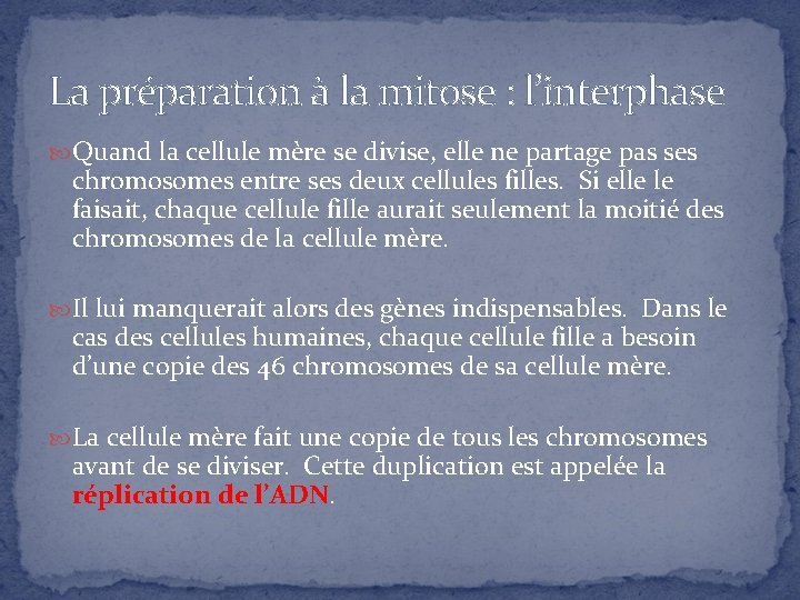 2 4 Mitose et miose SBI 3 U