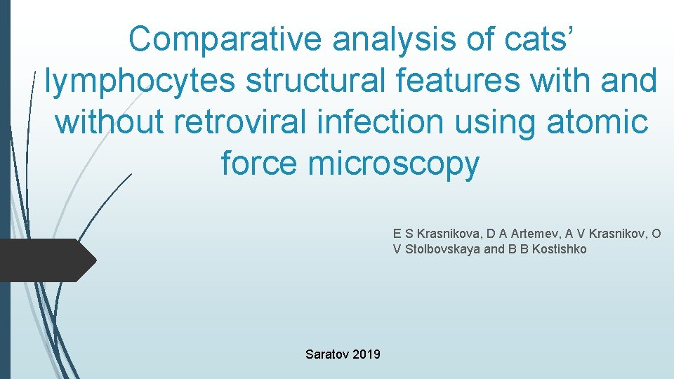 Comparative analysis of cats lymphocytes structural features with