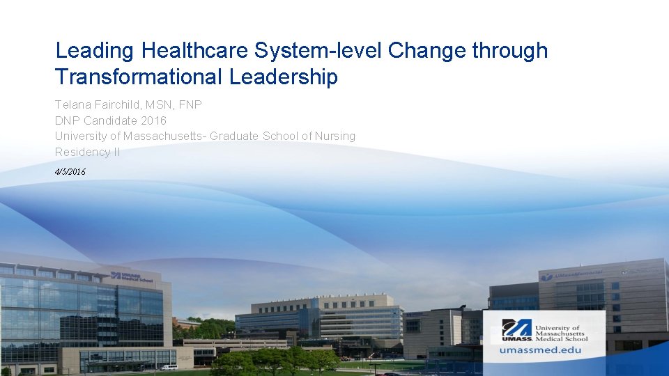 Leading Healthcare Systemlevel Change through Transformational ...