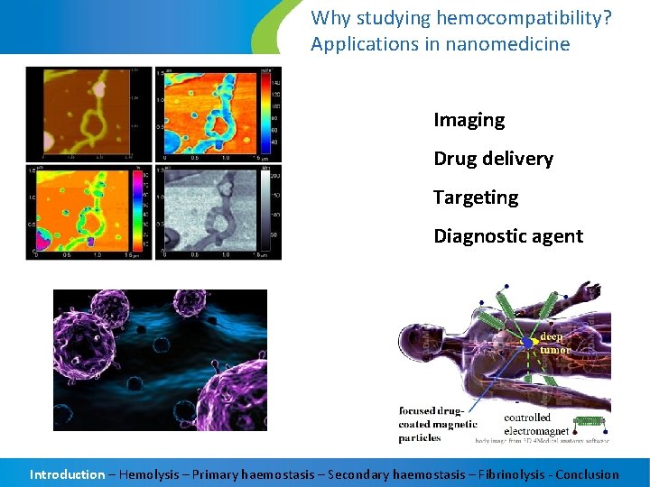 Guidelines proposal for nanomaterials hemocompatibility Julie Laloy ...
