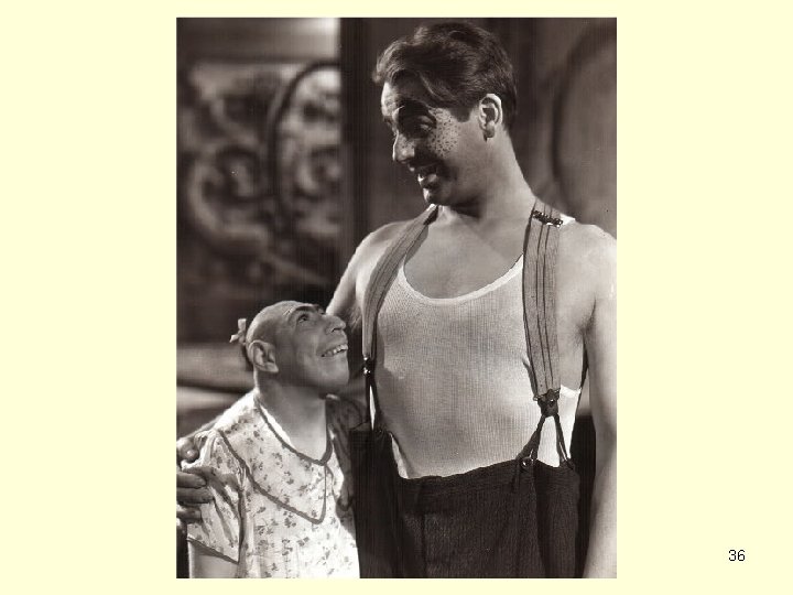 Embryology organogenesis Development and teratology of nervous system