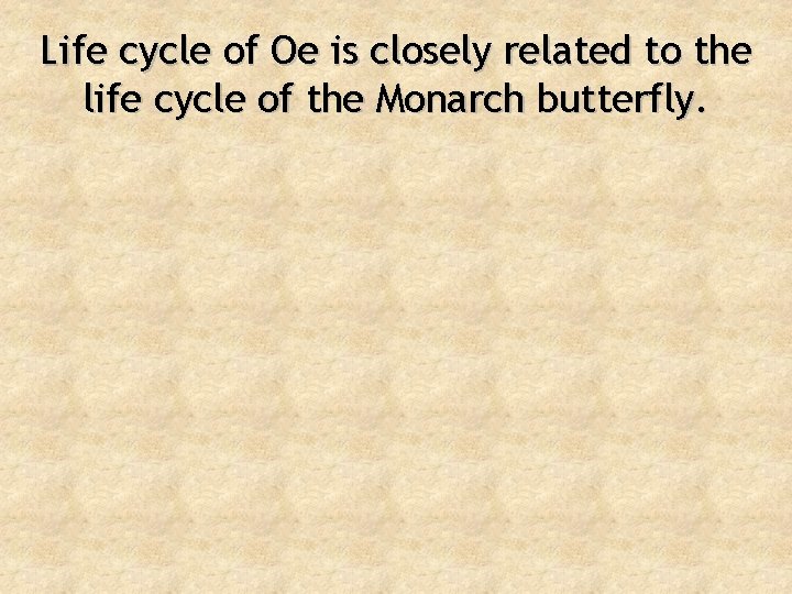 Biology and life cycle of Oe What is