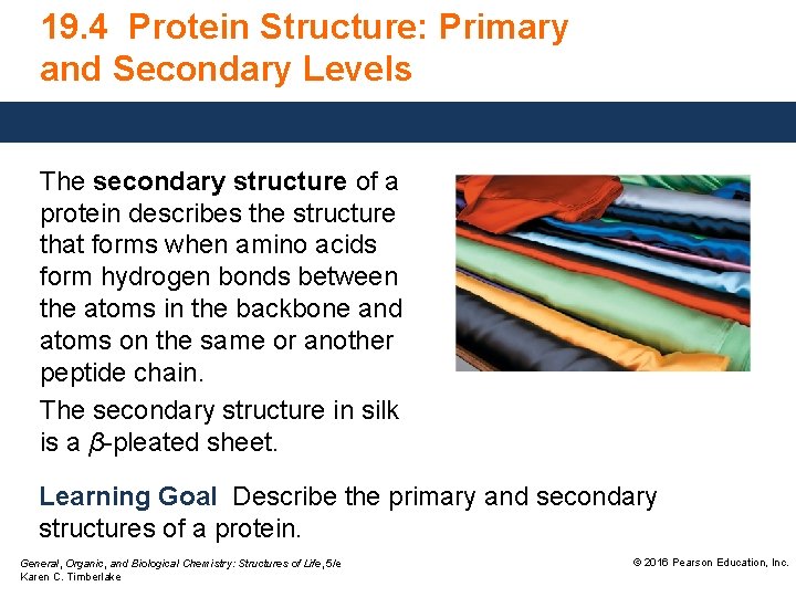 19 4 Protein Structure Primary and Secondary Levels