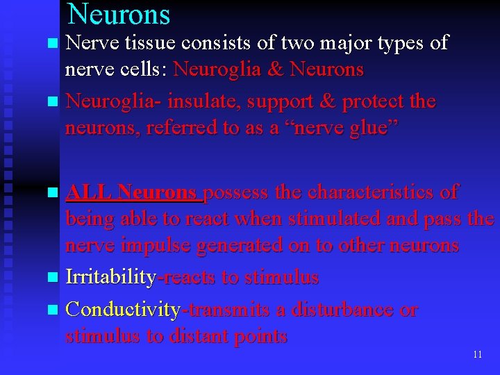 3 01 Remember the structures of the nervous