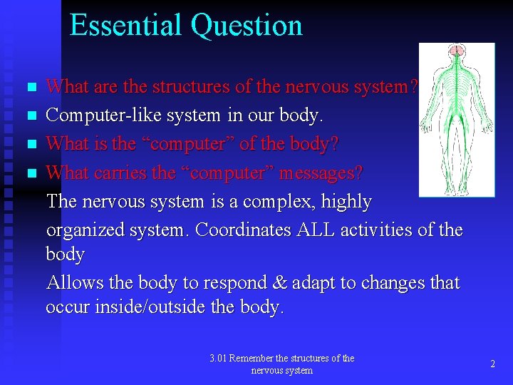 3 01 Remember the structures of the nervous