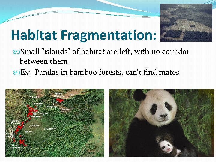 Threats to Biodiversity Habitat Loss Clearing land for