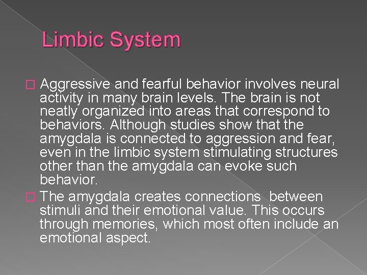 The Brain The older brain The Brainstem The