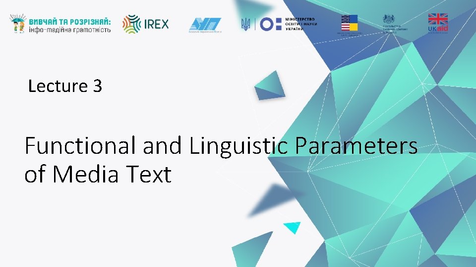 Lecture 3 Functional and Linguistic Parameters of Media