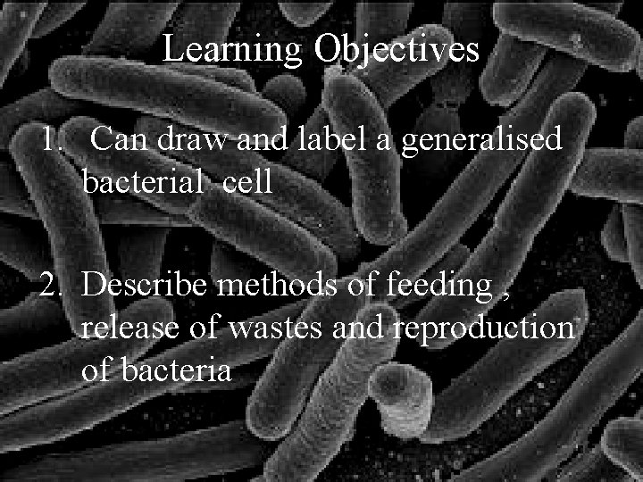 Humans and Microorganisms Learning Objectives 1 Can draw