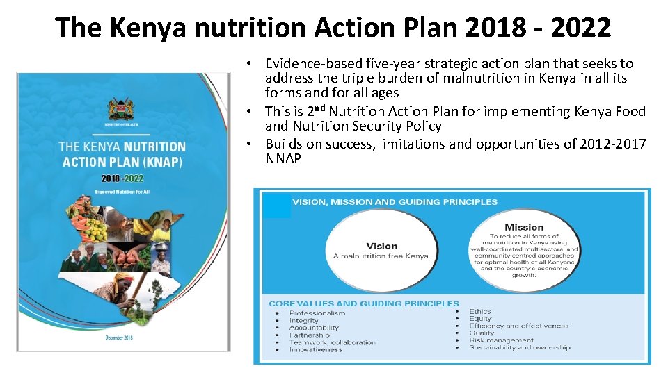 Overview of the Kenya Nutrition Action 2018 2022