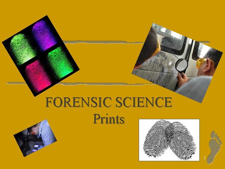 FORENSIC SCIENCE Prints 1 Prints Dactyloscopy the study