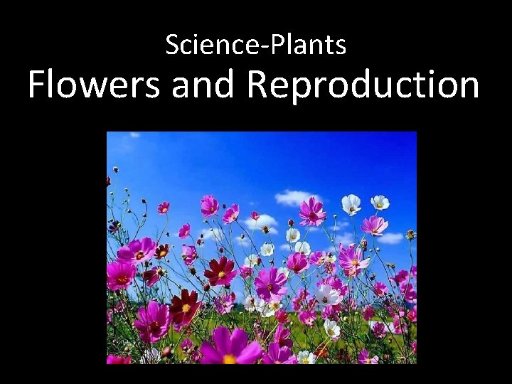 SciencePlants Flowers and Reproduction Parts of a Flower