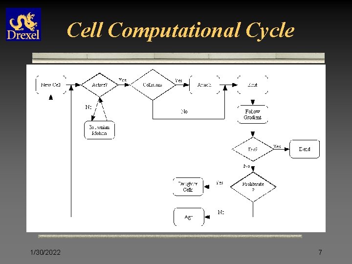 A Computational Model of ChemotaxisBased Cell Aggregation David