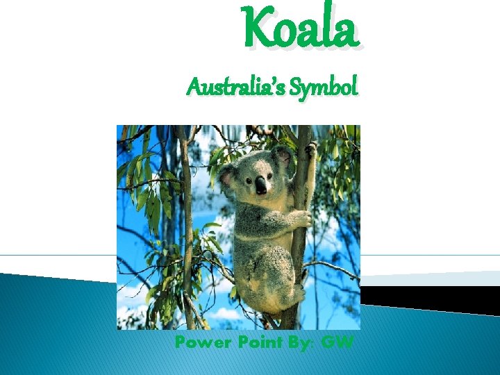 Koala Australias Symbol Power Point By GW Introduction