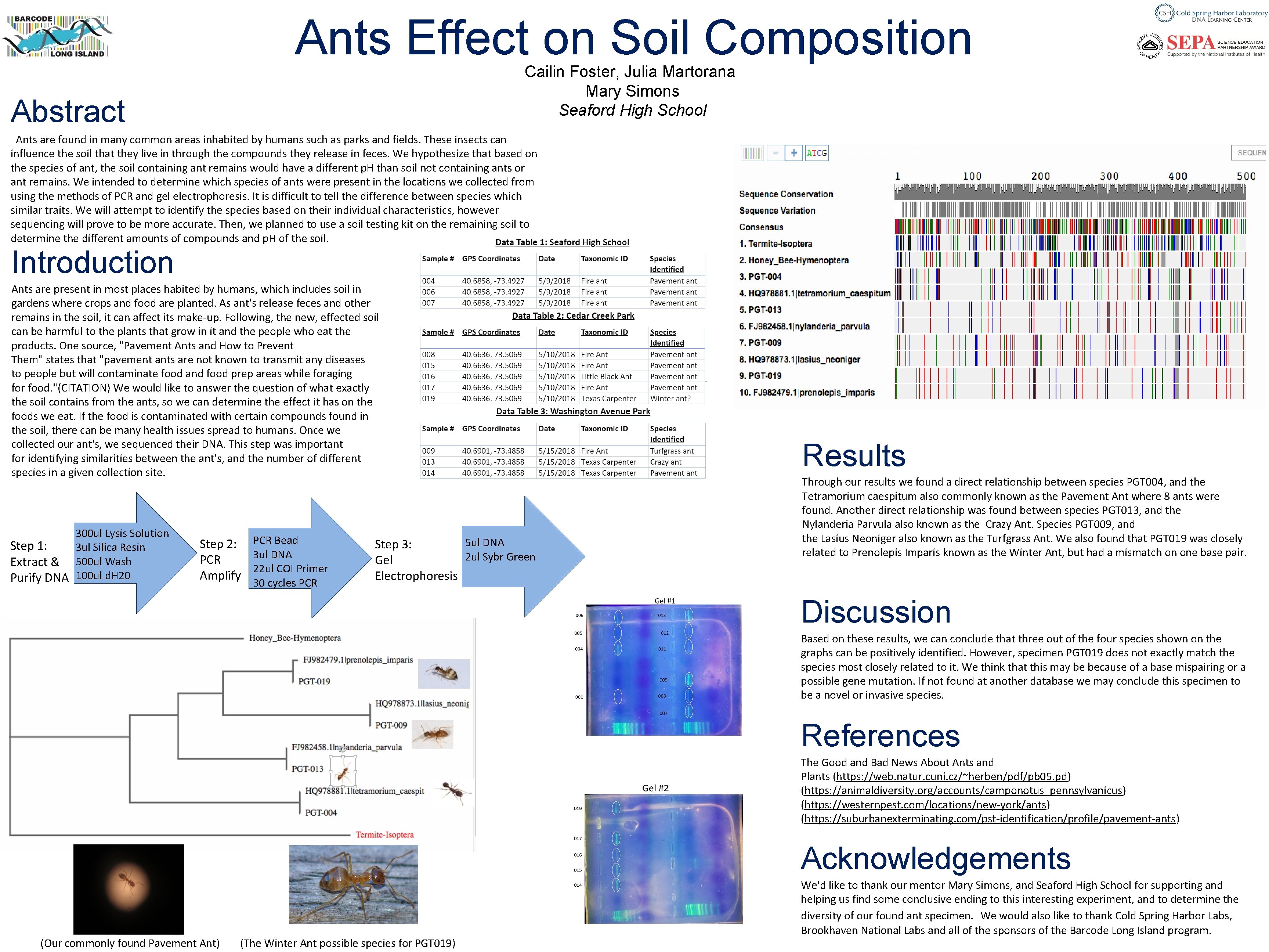 Ants Effect on Soil Composition Cailin Foster Julia