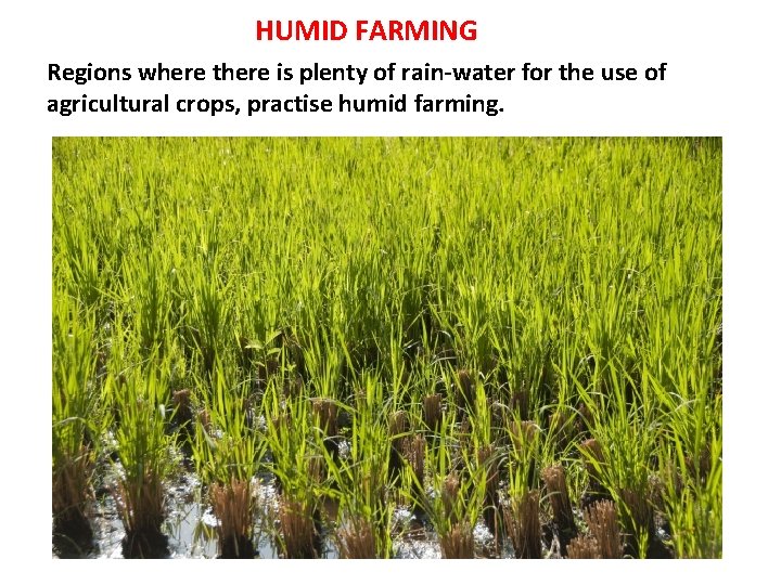 Different types of farming DRY FARMING Dry farming