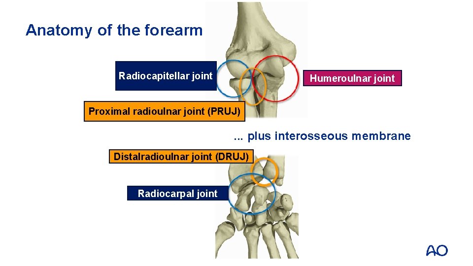 Forearm shaft fractures Volker Braunstein Learning outcomes At