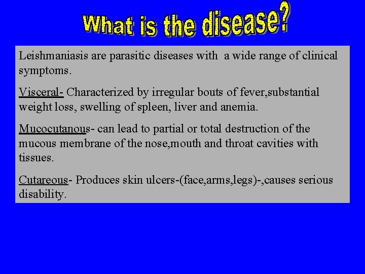 Leishmaniasis is transmitted by the bite of a