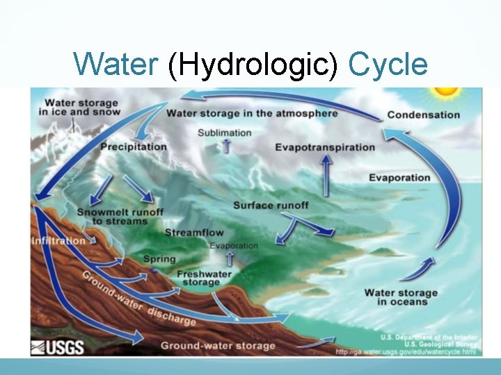 Biogeochemical Cycles How Can Abiotic Impacts Affect the