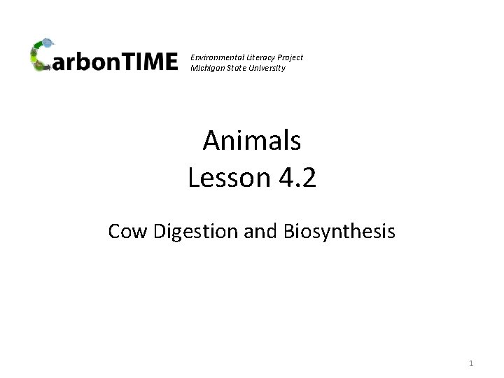 Environmental Literacy Project Michigan State University Animals Lesson