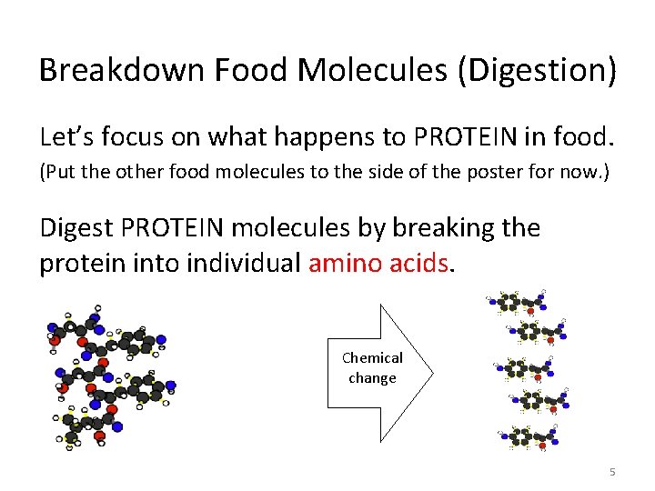 Environmental Literacy Project Michigan State University Animals Lesson
