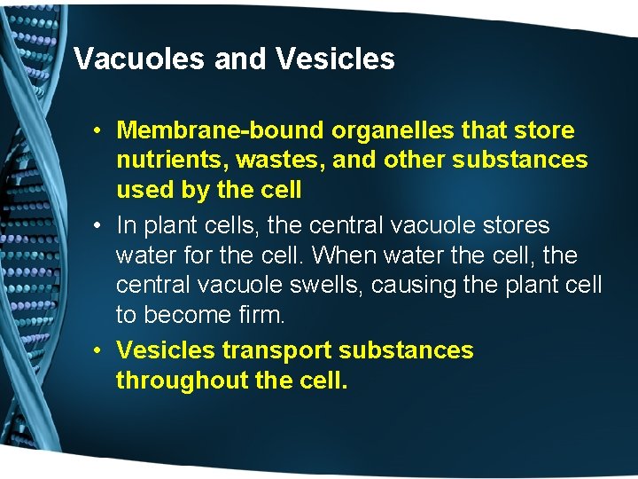 Plant and Animal Cells 2 Lesson 2 September