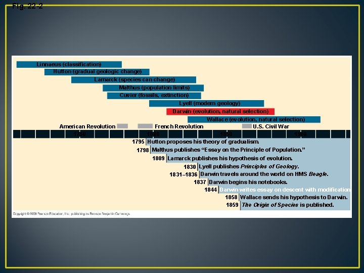 Terminal bud Cabbage Evolution Chapter 22 Lateral buds