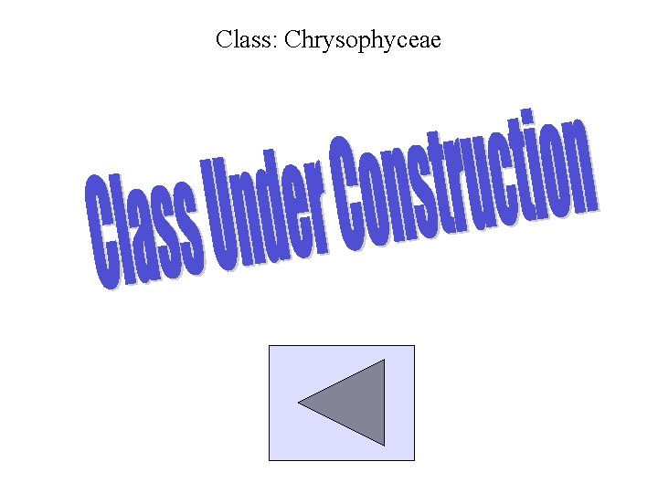 Freshwater Phytoplankton Key for the Northeast By Rachael