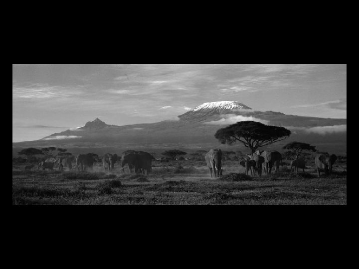 Martyn Colbeck est avant tout un cinaste de