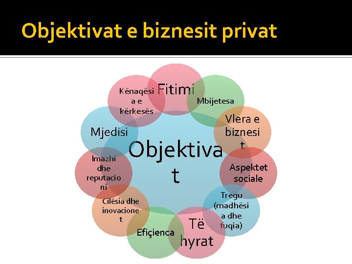 MENAXHMENTI BIZNESI DHE FORMAT E ORGANIZIMIT TE TIJ