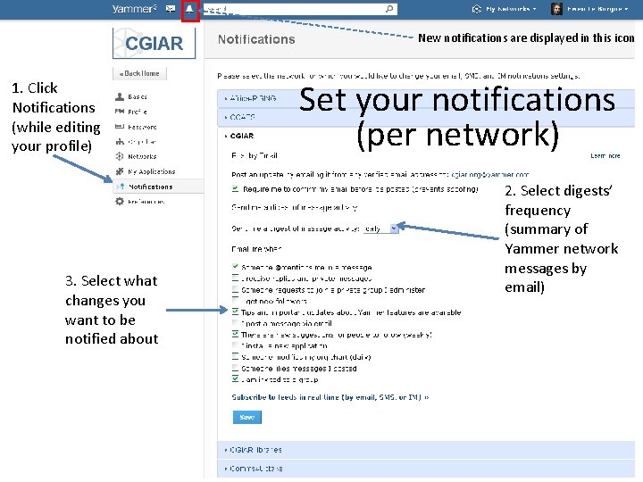 YAMMER Master guidelines Overview 1 2 3 4