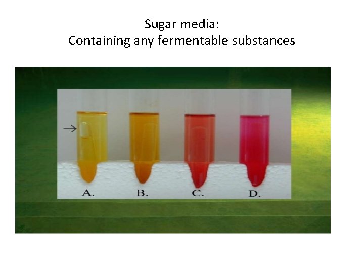 Preparation of bacteriologic media Need for culture media