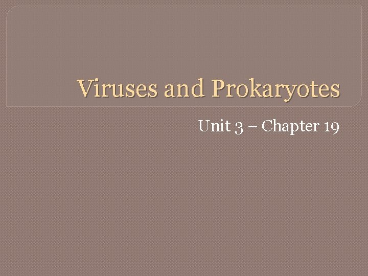 Viruses and Prokaryotes Unit 3 Chapter 19 Virus