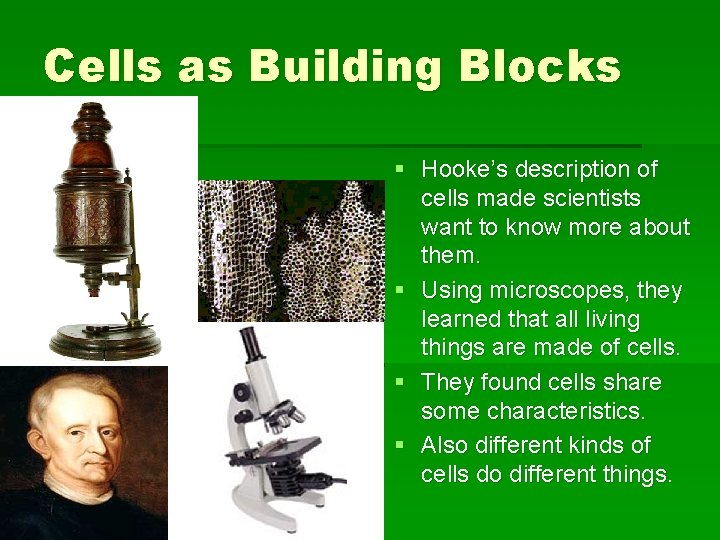 Chapter 5 Lesson What are cells Vocabulary Preview