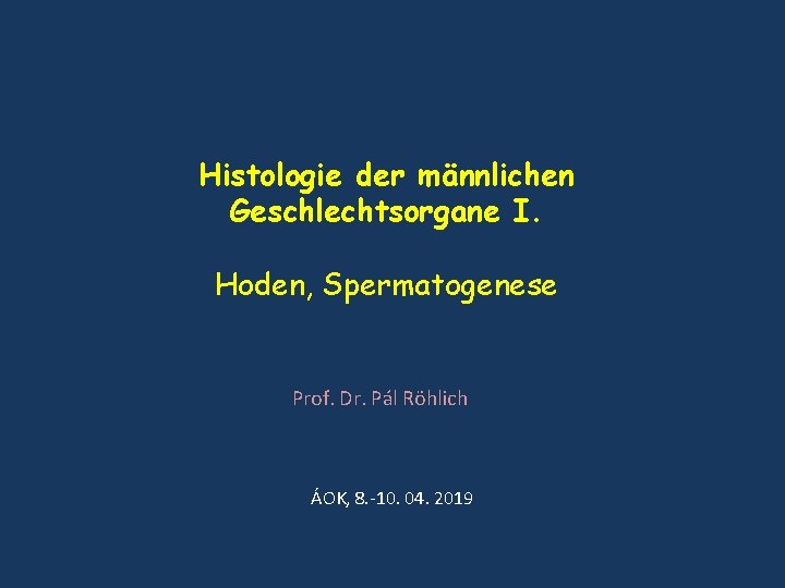 Histologie der mnnlichen Geschlechtsorgane I Hoden Spermatogenese Prof