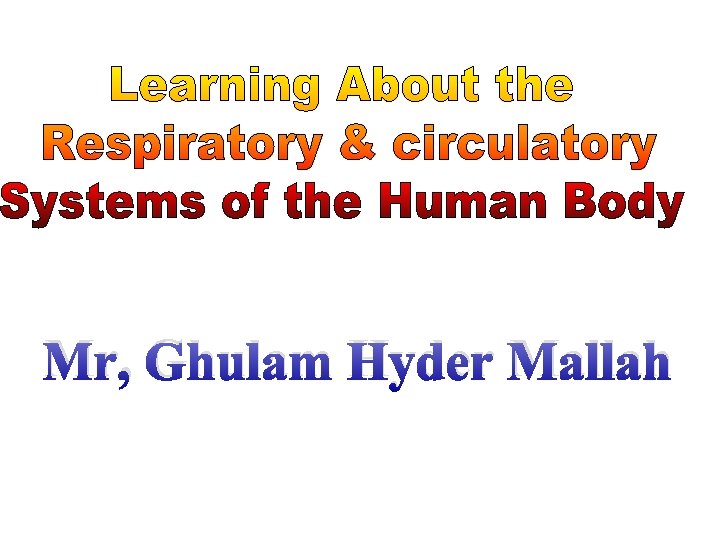 Mr Ghulam Hyder Mallah Human Respiratory System Hi
