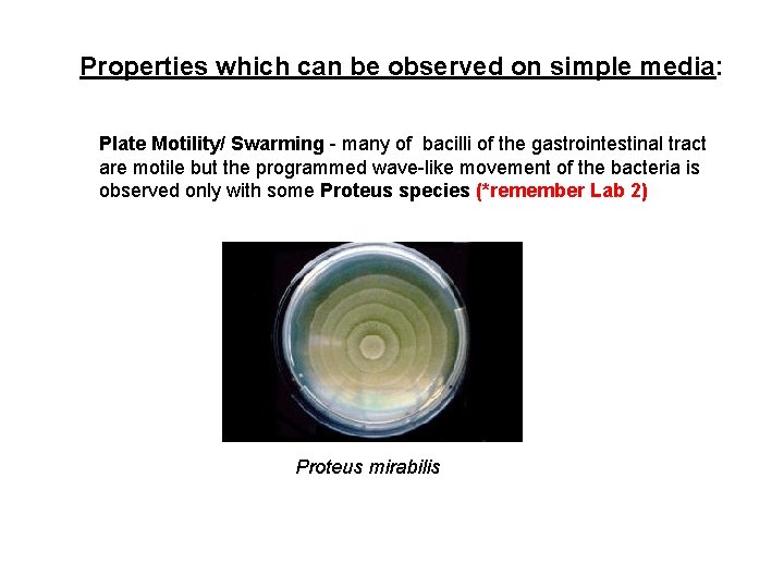 Laboratory 6 A This lab is practice for