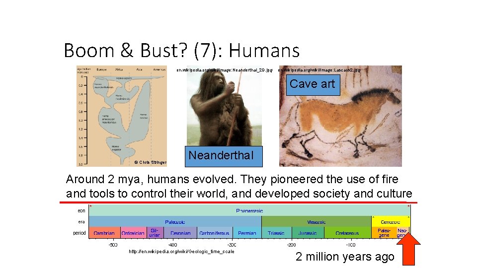 Activity 2 Comparison of early landbased ecosystems www