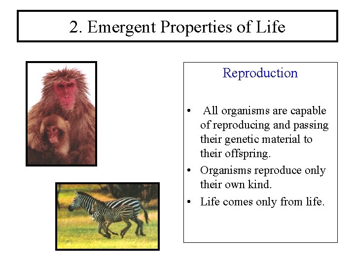 Exploring Life Chapter 1 General Biology Science Majors