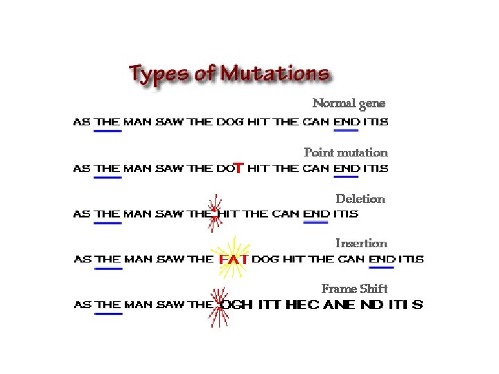 Biological Evolution Mutation The DNA changes and the