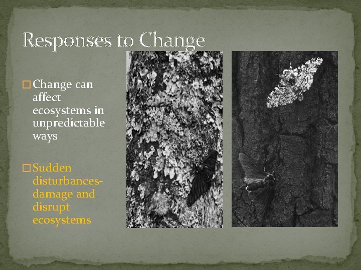 Warm Up 1 What is the difference between