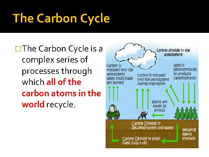 The Carbon Cycle What is matter Matter is