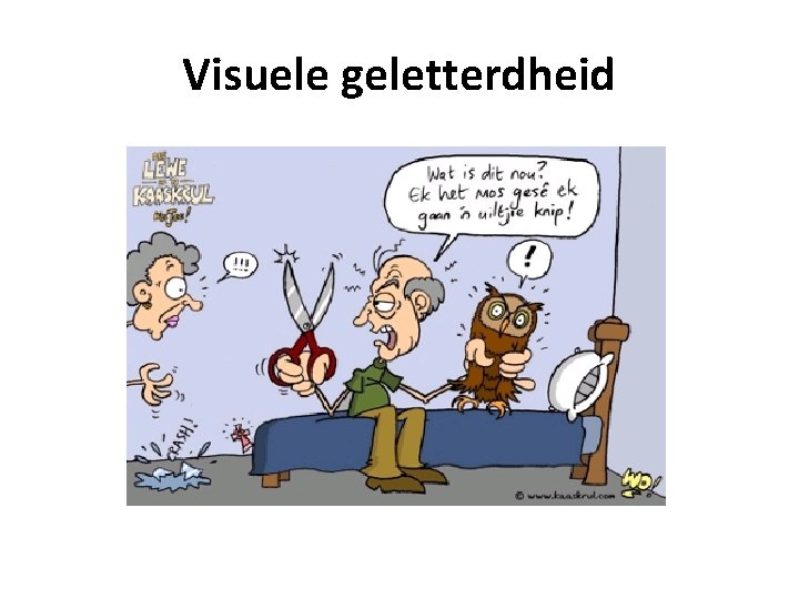 Leesbegrip Wat doen vaardige lesers Hulle lees nie