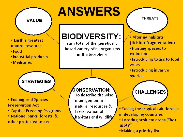 Humans the Environment Part 2 Biodiversity INTERESTING FACTS
