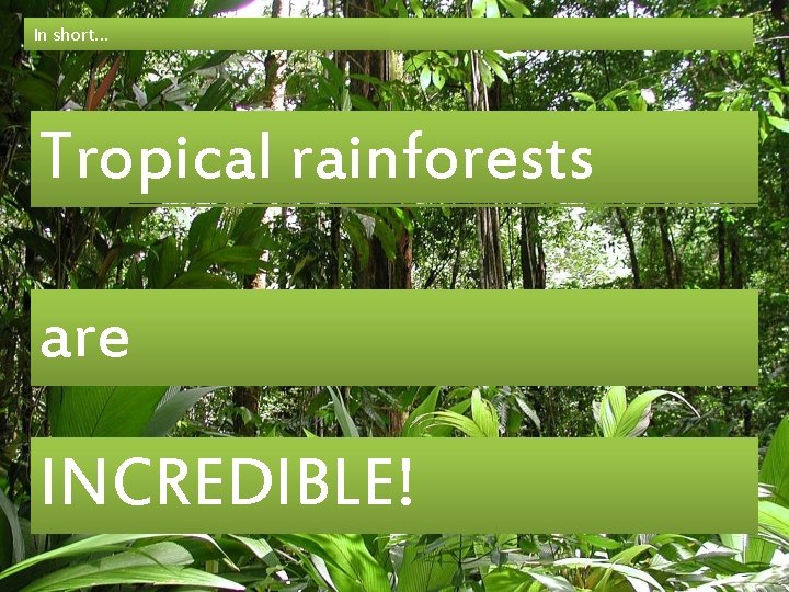 An introduction to TROPICAL RAINFORESTS What are rainforests