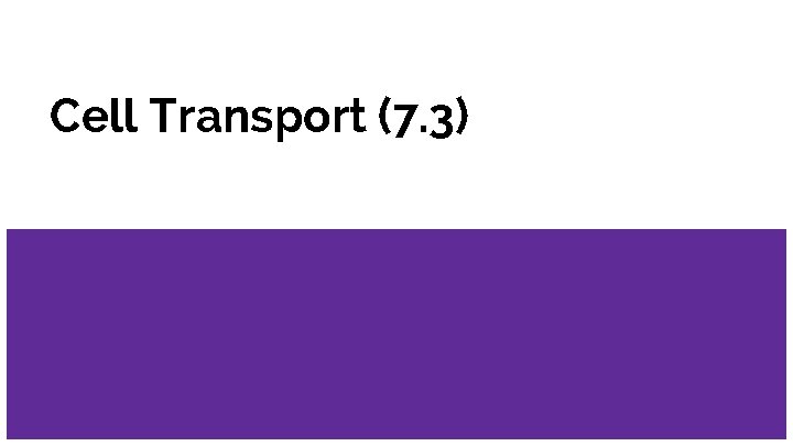 Cell Transport 7 3 Passive Transport Important Keep