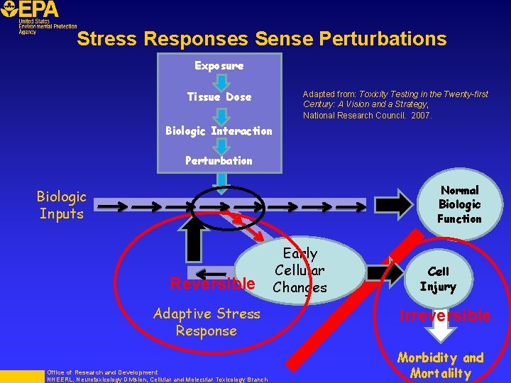 Stress Response Pathway Ensemble A New Paradigm in