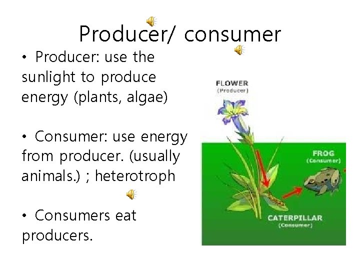 Relationships between organisms Standard 4 Key Idea 6